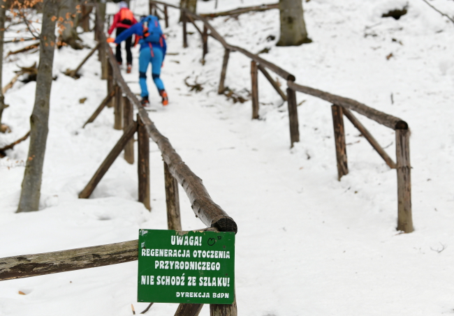 Wołosate: szlak na Tarnicę (1346 m n.p.m.) – najwyższy szczyt w ...