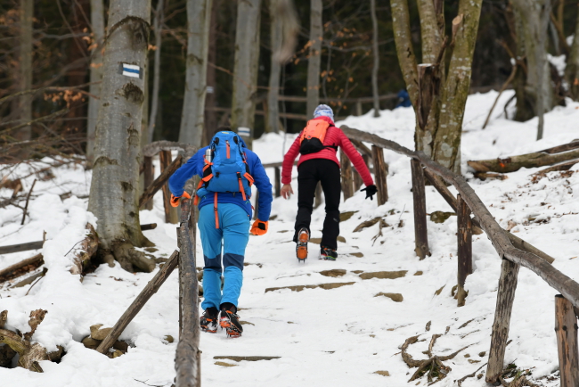 Wołosate: szlak na Tarnicę (1346 m n.p.m.) – najwyższy szczyt w ...