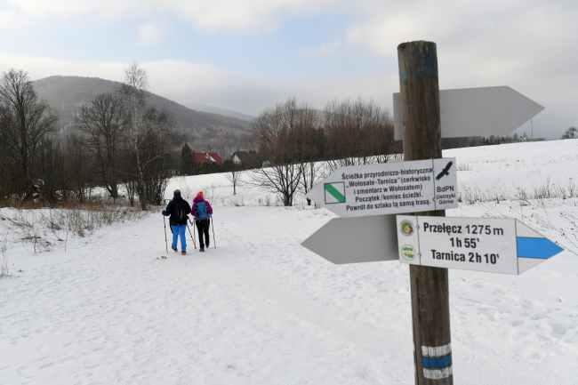 Wołosate: szlak na Tarnicę (1346 m n.p.m.) – najwyższy szczyt w ...