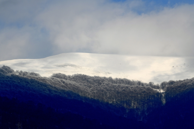 Wołosate: szlak na Tarnicę (1346 m n.p.m.) – najwyższy szczyt w ...