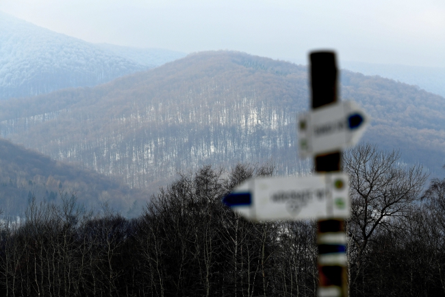 Wołosate: szlak na Tarnicę (1346 m n.p.m.) – najwyższy szczyt w ...