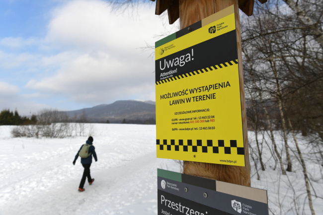 Wołosate szlak na Tarnicę (1346 m n.p.m.) – najwyższy szczyt w polskich ...