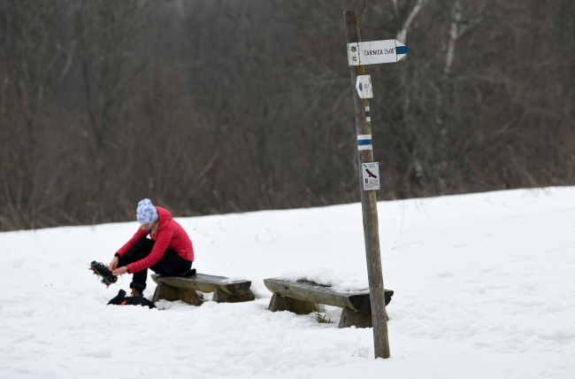 Wołosate: szlak na Tarnicę (1346 m n.p.m.) – najwyższy szczyt w ...