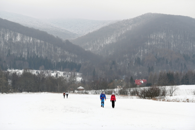 Wołosate szlak na Tarnicę (1346 m n.p.m.) – najwyższy szczyt w polskich ...