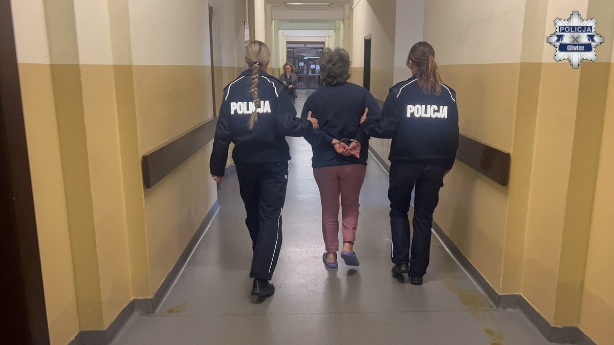 53-letnia Ukrainka nudziła się w domu. W ramach „żartu pod wpływem ...